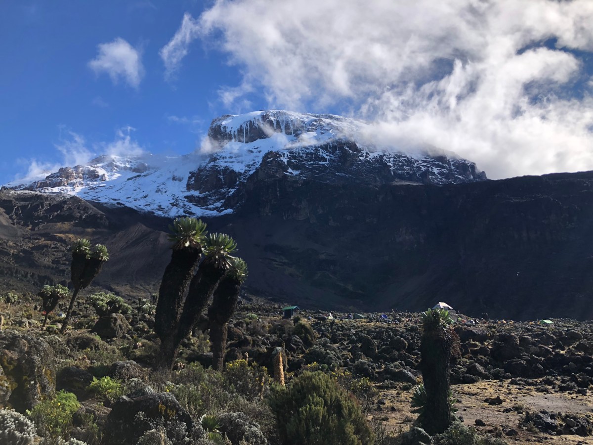 Some tips to climb the Kili – wherever traveler